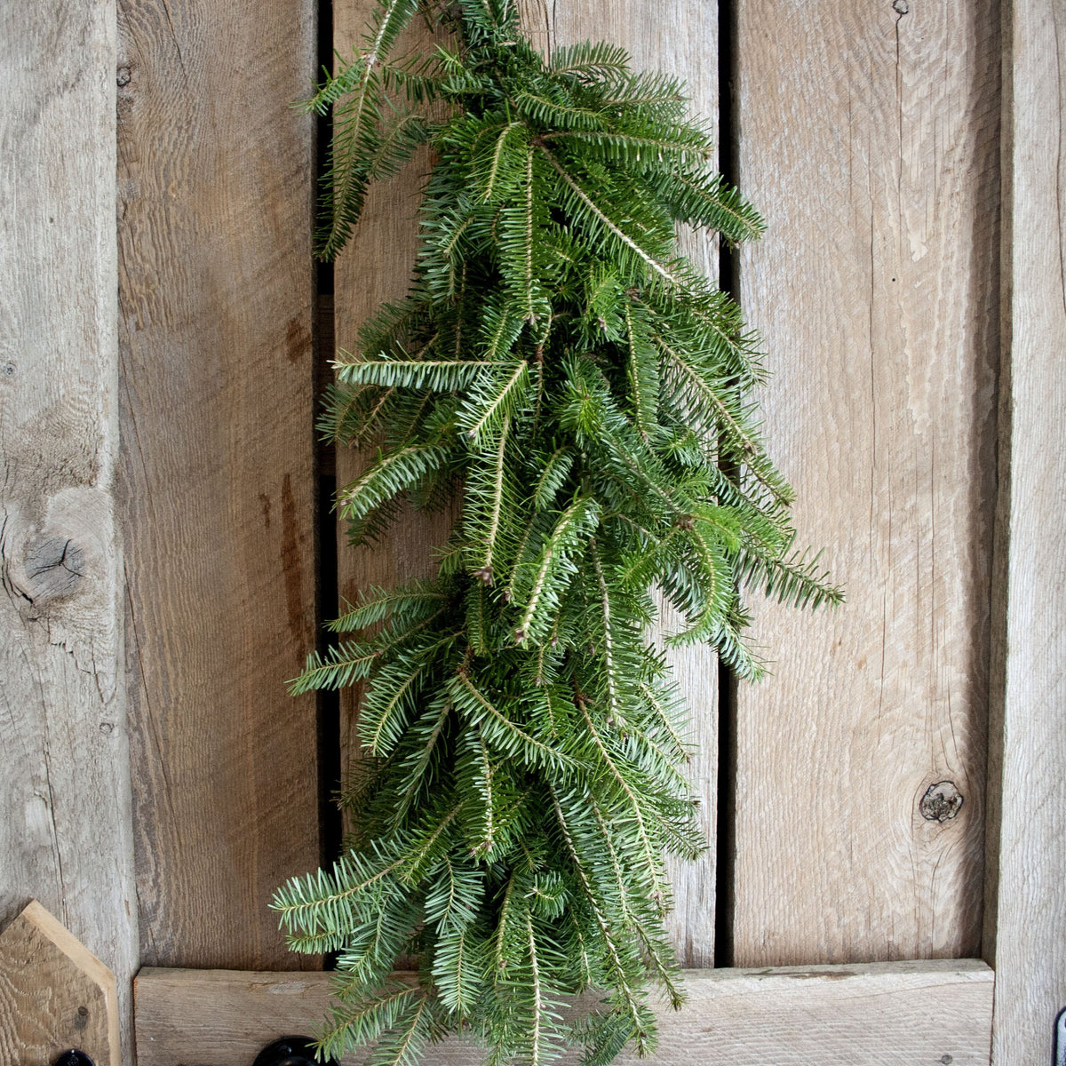 Fresh Fraser Fir Garland: 24 in, 6 ft, 12 ft, 18 ft – snowgreens