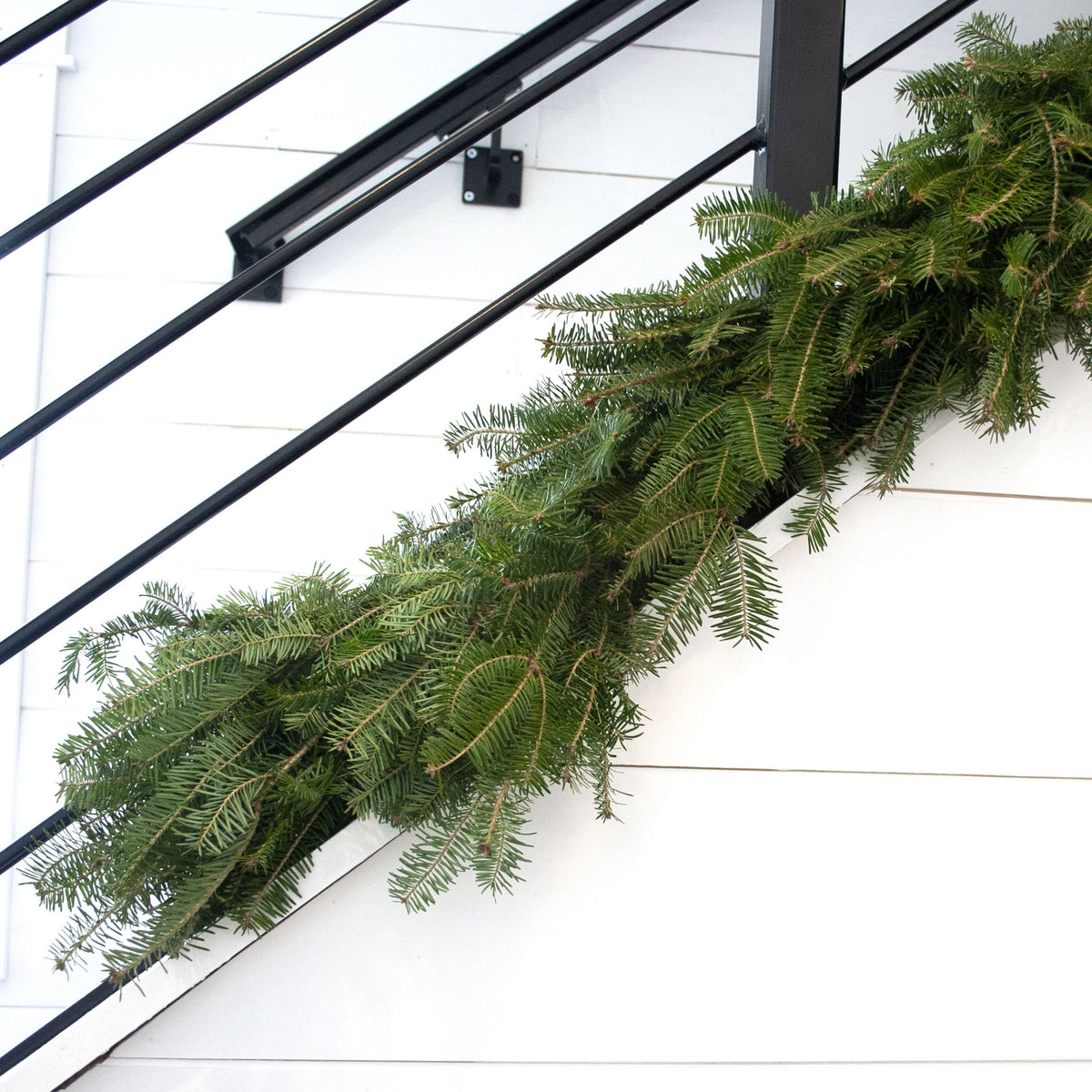 Fresh Fraser Fir Garland: 24 in, 6 ft, 12 ft, 18 ft – snowgreens